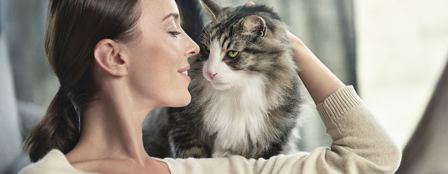 10 Tipps für eine tolle Katze-Mensch-Beziehung | PURINA